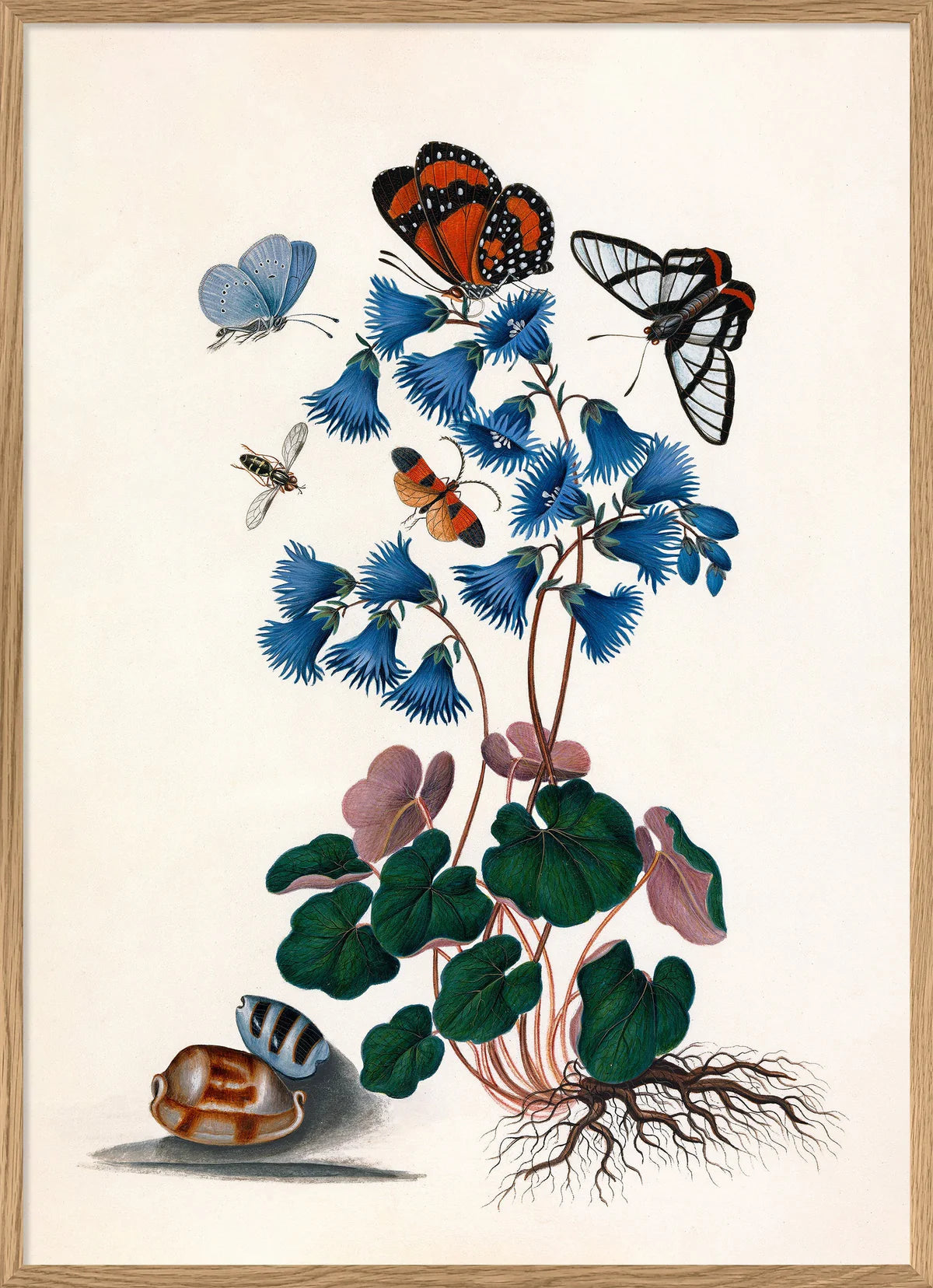 Butterflies & Blue Flowers – A Broader Picture
