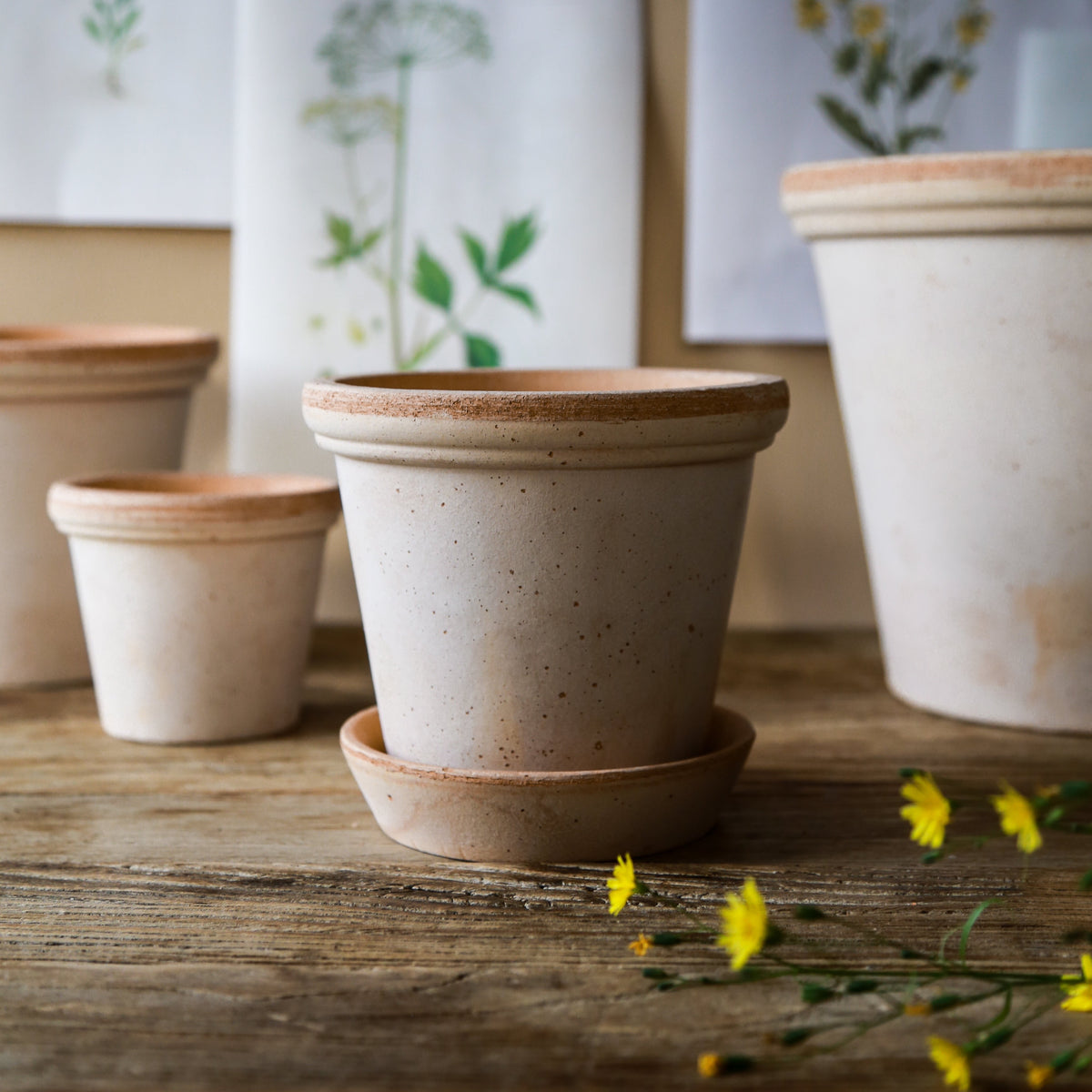 Clay Plant Pot - Flora Rosa – A Broader Picture