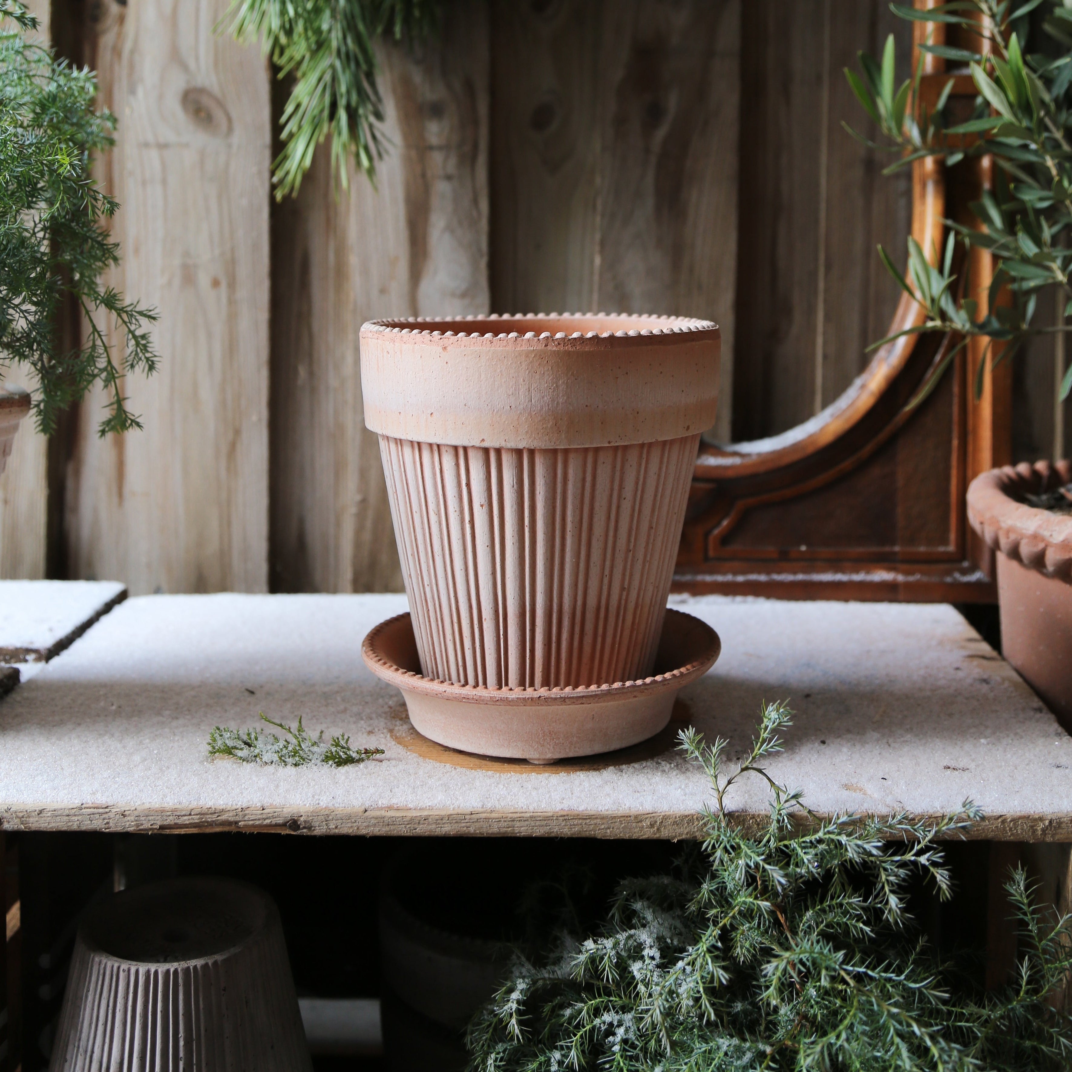 Clay Plant Pot - Simona Rosa – A Broader Picture